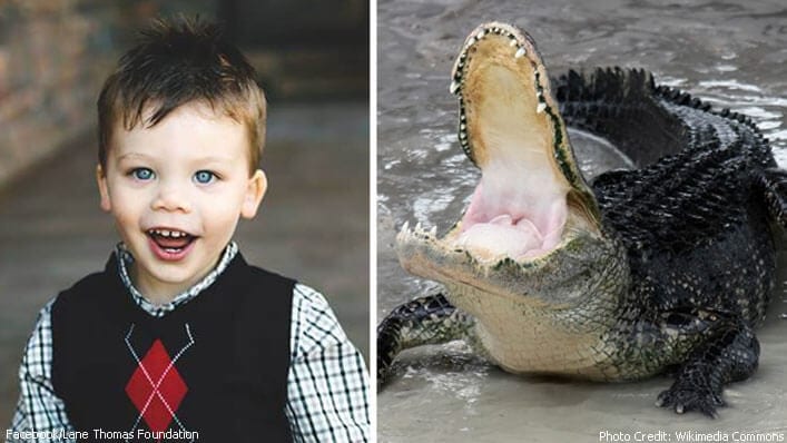 One Year After 2-Year-Old Is Killed by Alligator, Disney Unveils This ...