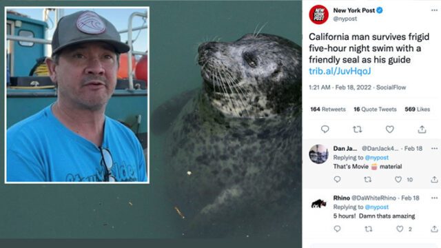 Man Survived a 5-Hour Swim With the Help of a Seal